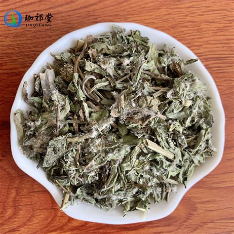 中药小蓟图片 中药小蓟的功效 2 伤感说说吧