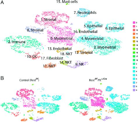 Single Cell Rna Sequencing Analysis A A T Distributed Stochastic