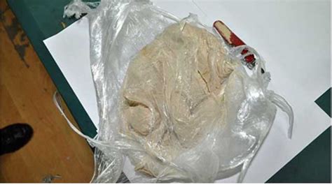 Телевизија 24 Во Хрватска уапсени четворица Хрвати еден Македонец и