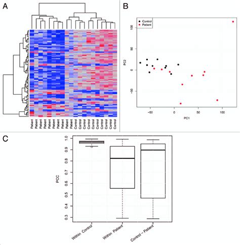 Analysis Of Mace Results A Unsupervised Hierarchical Cluster