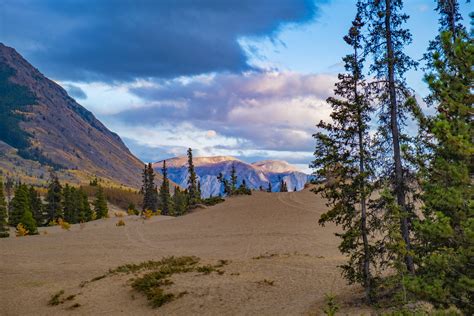 Deserts In Canada A Look At Some Of The Countrys Most Desert Like