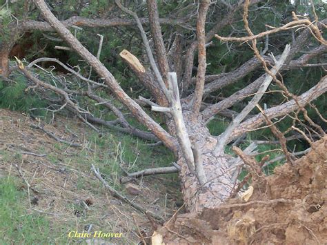 The May 22 2008 Tornado Outbreak