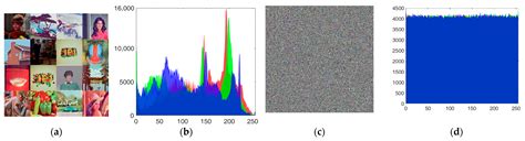 Information Free Full Text Block Image Encryption Algorithm Based On Novel Chaos And Dna