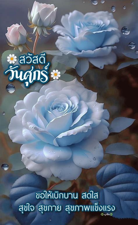 วันศุกร์ 🌿💙 ดอกไม้สวย สุขสันต์วันศุกร์ วันศุกร์