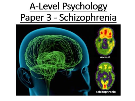Schizophrenia Powerpoint And Student Booklet Teaching Resources