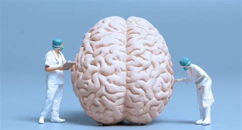 Desarrollan Tratamiento Natural Contra El Alzheimer