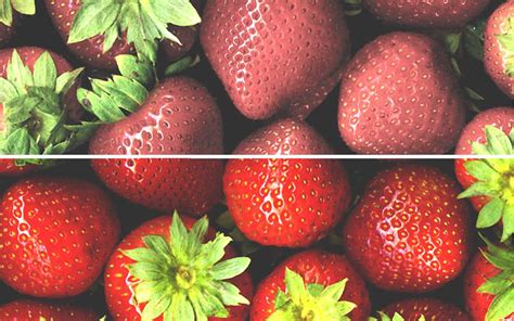 What Is Cri Energy Performance Lighting