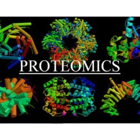 Proteomics Products Antibodies And Elisa Kits Link Biotech