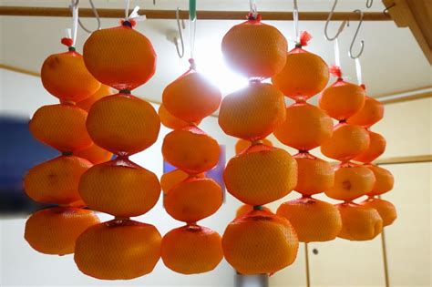 枝なし柿でもできる干し柿の作り方平核無柿 ひたらたねなしがき soraironote