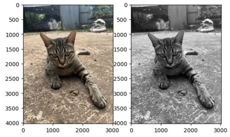 Model View Controller Ponnipa J Medium