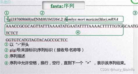 Ngs数据分析实践：03 涉及的常用数据格式 1 Fasta和fastq格式fastq数据分析 Csdn博客