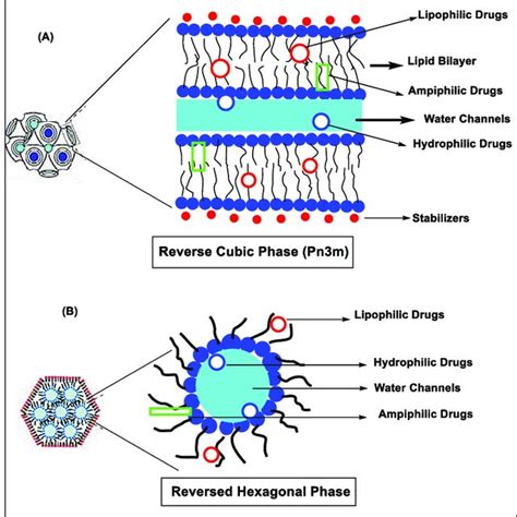 Representation Of Methods Of Cubosome Preparation 50 A Higher