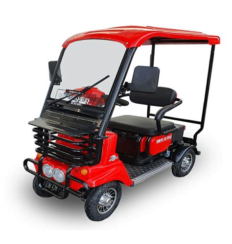 골프장 전기스쿠터 캐디카트 사륜전동차 전동오토바이 2인용 티몬