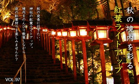 秋の境内を彩る紅葉ライトアップ神社