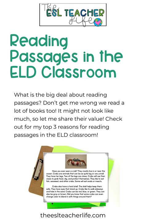 96 Esl Classroom Ideas In 2025 Esl Classroom Classroom Writing Activities