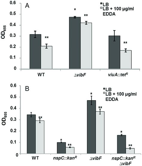 Effects Of Vibriobactin Synthesis And Utilization On Biofilm Formation Download Scientific