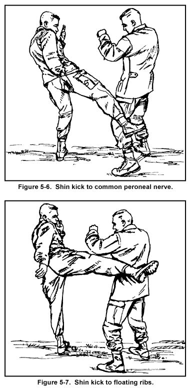 Roundhouse Kick Wikipedia