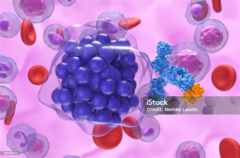 미만성 거대 B 세포 림프종의 단클론 항체 치료 근접 촬영 보기 3d 그림 0명에 대한 스톡 사진 및 기타 이미지 0명 3차원 형태 B세포 Istock