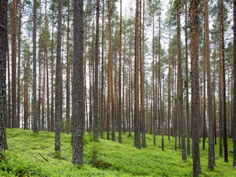 Gridlex Just A Flexbox Grid System