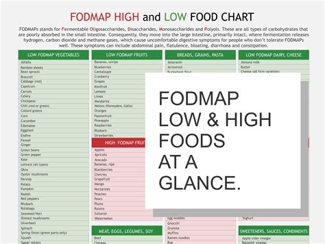 Fodmap Foods Low Fodmap High Fodmap Digital Download Irritable