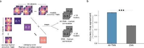 Figure 5 From End To End Topographic Networks As Models Of Cortical Map Formation And Human