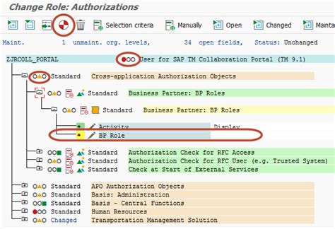 How To Define Authorizations Sap Community