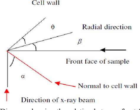 Figure 2 From Analysis Of Microfibril Angle In Acacia Mangium Wood