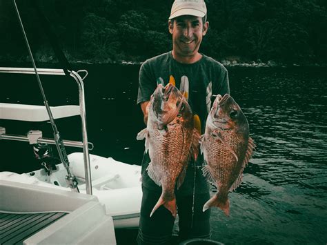 About | RAILBLAZA USA - Hold Everything...