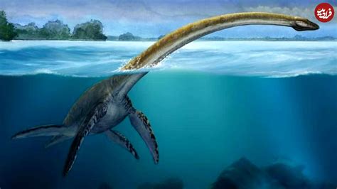 عکس فسیل هیولای دریایی ۲۵۰ میلیون ساله در چین پیدا شد