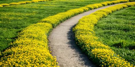 Abstract Pathway Made Of Grass And Yellow Flowers Ai Generated Content