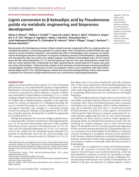 Pdf Lignin Conversion To β Ketoadipic Acid By Pseudomonas Putida Via Metabolic Engineering And