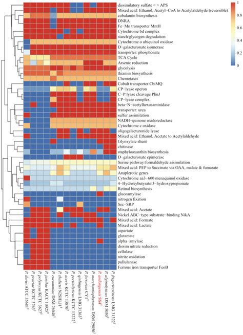 Isolation Characterization And Whole Genome Analysis Of Paenibacillus