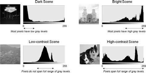 The Gray Level Histogram For Different Brightness And Contrast Download Scientific Diagram The Gray Level Histogram For Different Brightness And Contrast Download Scientific Diagram
