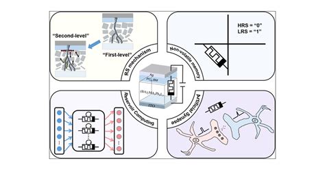 Leveraging Dual Resistive Switching In Quasi 2d Perovskite Memristors For Integrated Non