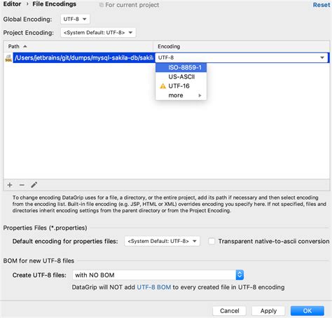 File Encoding Help Datagrip
