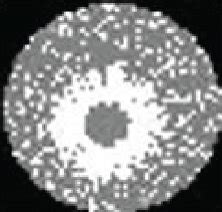 Basic Types Of Wafer Maps Af And Mixed Defect Types Gl A Download Scientific Diagram