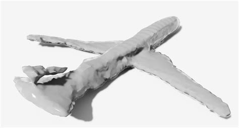 fuzzy output of the dmtet model · issue 642 · nvidiagameworks kaolin