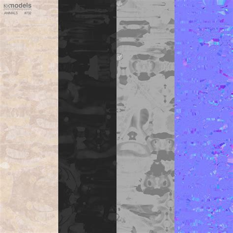 Mouse Skeleton 3d Model Download Mammals On