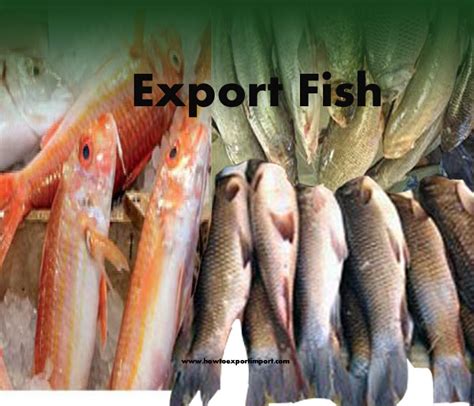 How To Export Preparations Of Meat Fish Or Crustaceans Molluscs