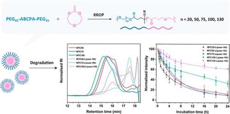 两亲性嵌段共聚物 Peg B Pmtc：合成、自组装、降解特性和生物相容性 Biomacromolecules X Mol
