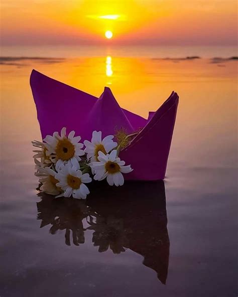 Floris Floris Added A New Photo