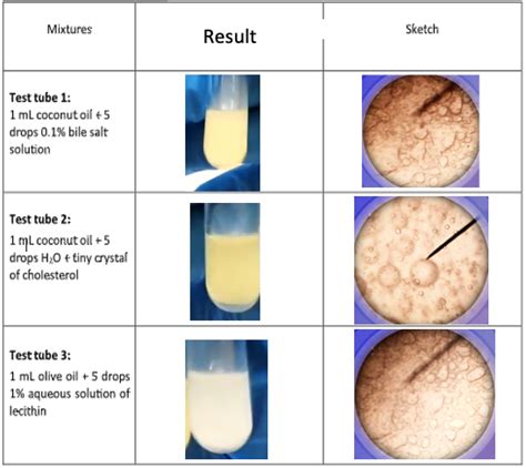 Solved Emulsification Test For Lipids Questions 1 What Is