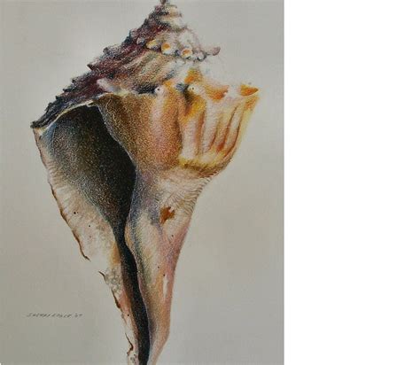 Sherry Egger Color Pencil Art Graphite Art Color Pencil Drawing