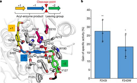 Improvement Of The Pet Depolymerization Specific Activity Of Lcc After