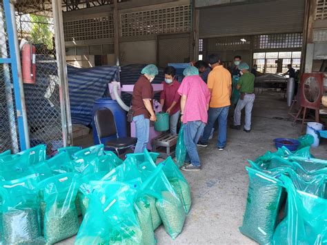 ศูนย์วิจัยเกษตรหลวงเชียงใหม่ ปฏิบัติงานการตรวจสอบคุณภาพเมล็ดกาแฟของผู้เข้าประกวดงาน”สุดยอดกาแฟ