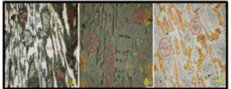 Fully Annealed Micrographs Download Scientific Diagram