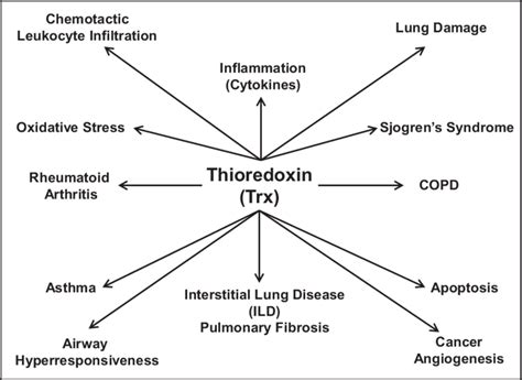 Association Of Thioredoxin Trx With Several Pathophysiological And