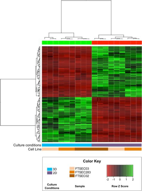 Gene Expression Microarray Analysis Of 2d And 3d Cultured Ftsecs