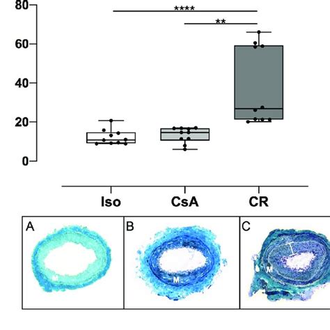 Swine Vca Skin Rejection Classification Modified Banff Criteria