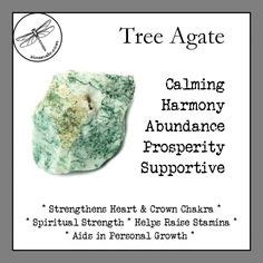 Best Tree Agate Ideas Tree Agate Crystals And Gemstones Stones And Crystals